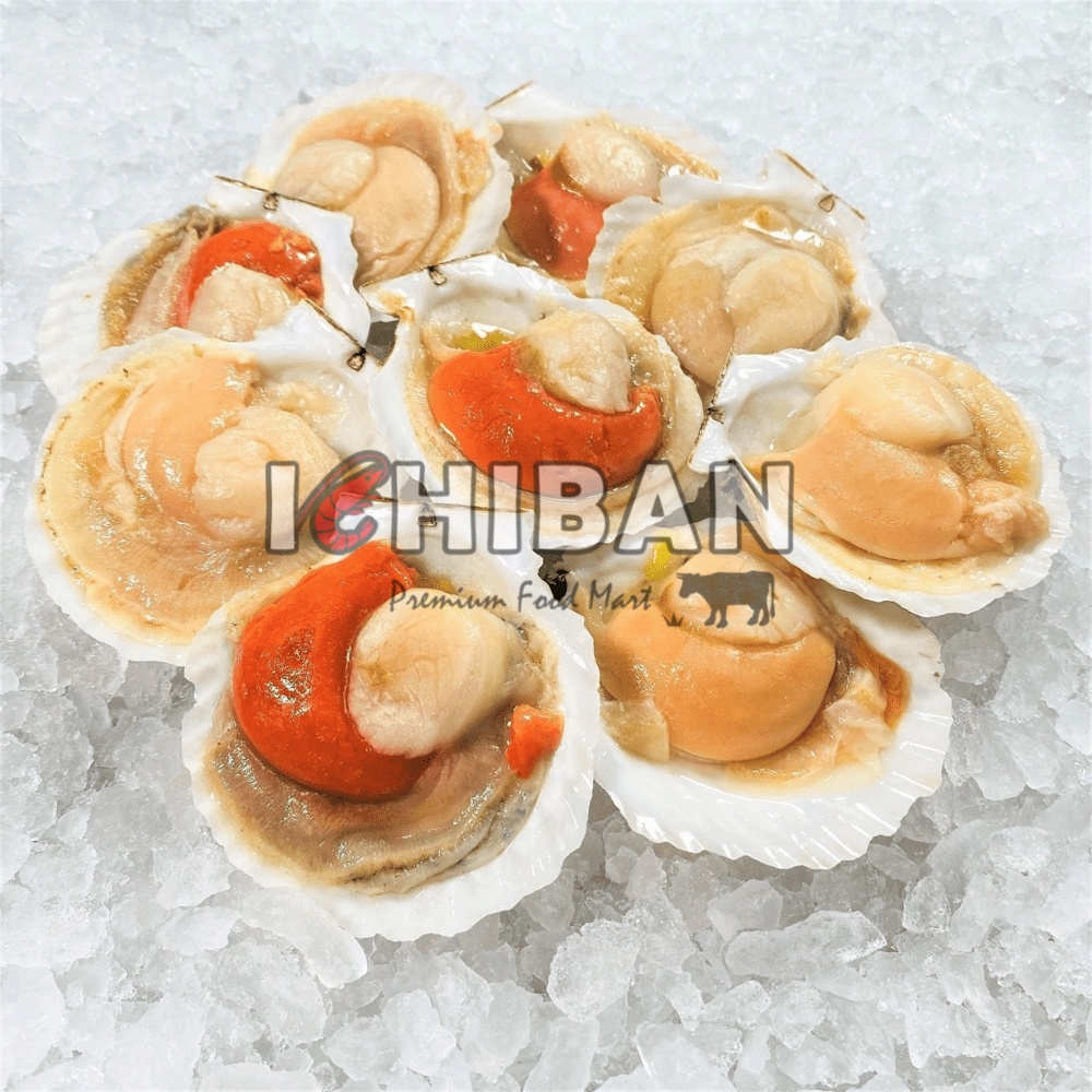 Premium Half Shell Scallop 8pcs± 1KG | Shopee Malaysia