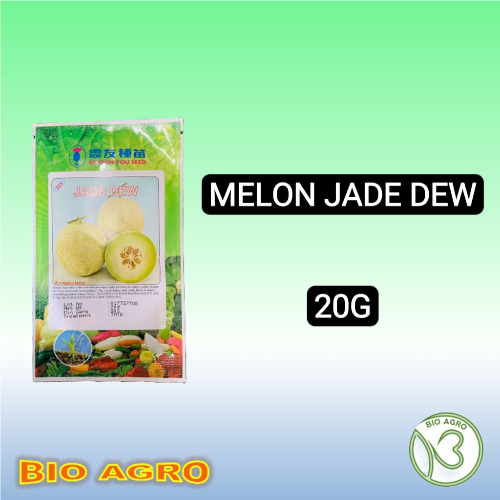 Paket 20g JADE DEW 223 Known-You Seed Biji Benih Melon Tembikai Susu Wangi Manis F1 Hybrid Sweet ...