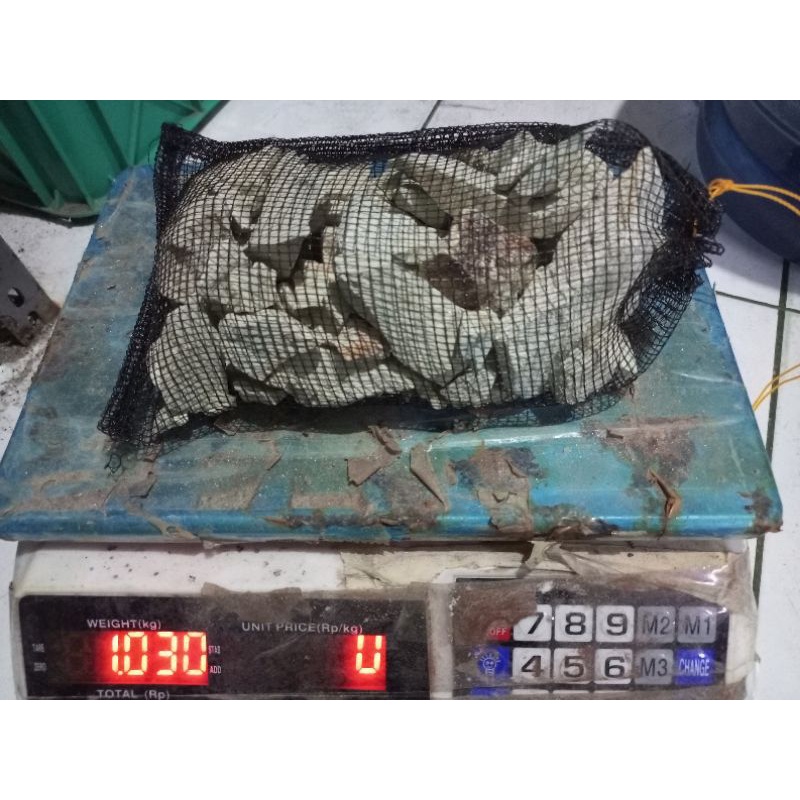 1kg plus waring Zeolite Stone/Zeolite Stone/filter media/Fish Pond ...