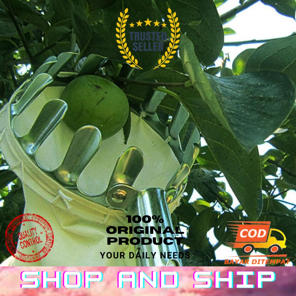 Gotexs FRUIT / ORIGINAL SAS FRUIT STICKING NET | Shopee Malaysia