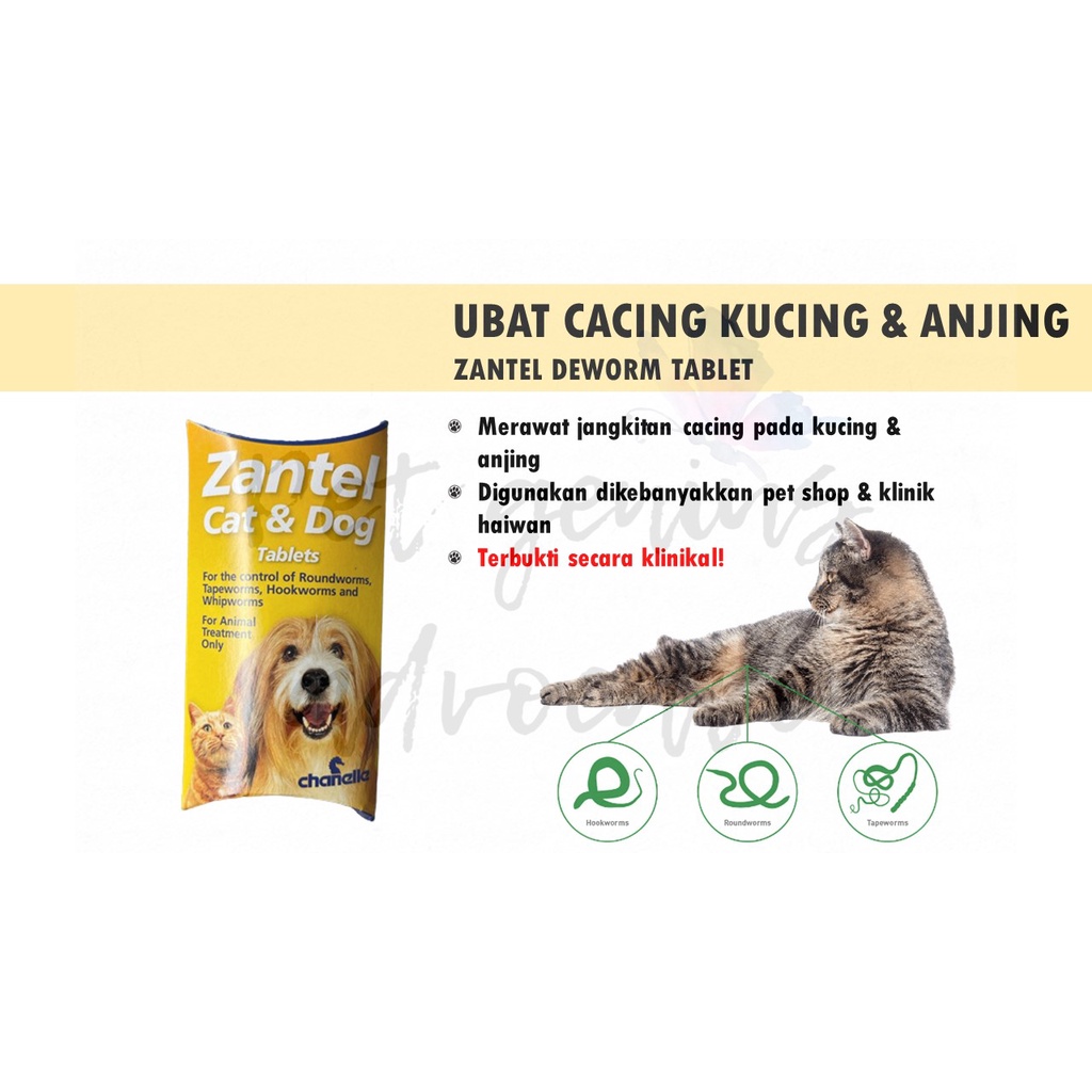RECOMMENDED : ZANTEL MS WORM UBAT CACING Kucing Anjing (VETERINARY USE ...