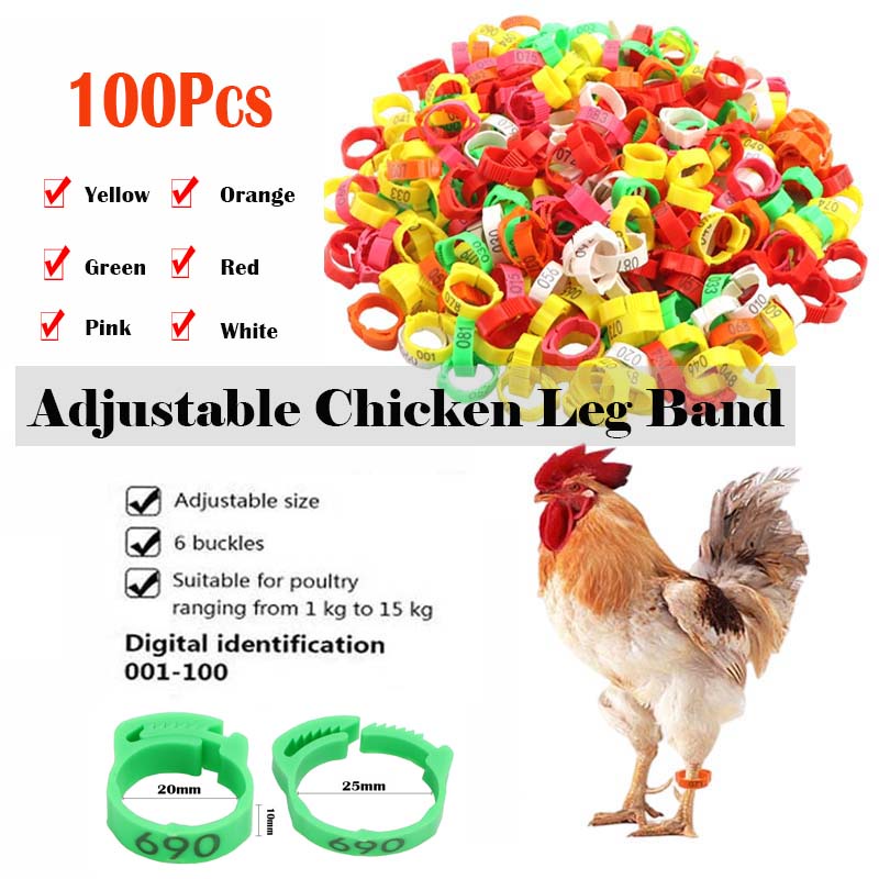 50/100Pcs Chicken Foot Ring Adjustable Digital Chicken Feet Tags ...