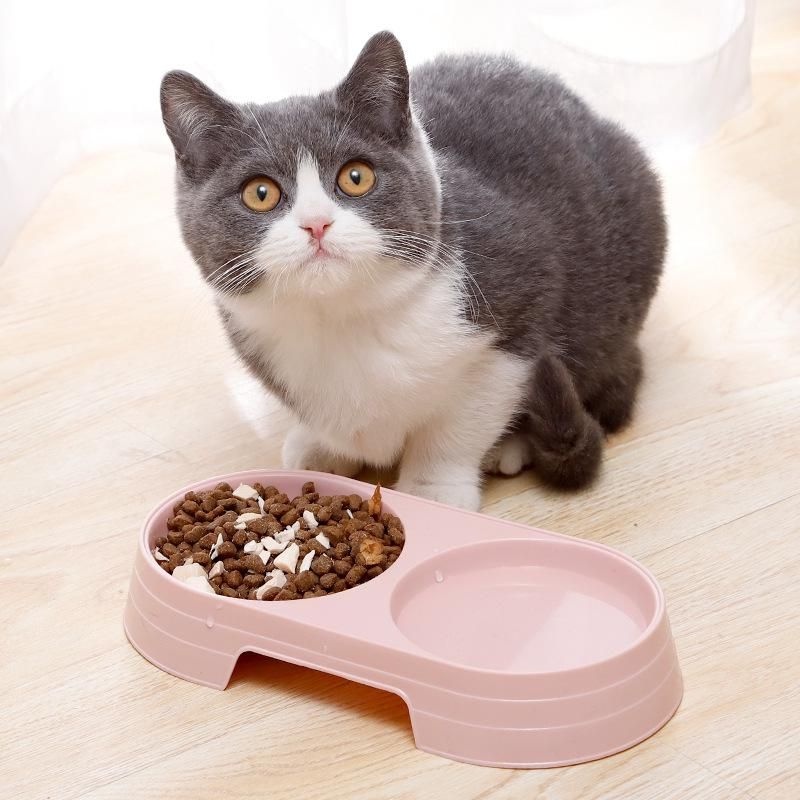 Eco PP Candy Pet Cat Dog Kitten Puppy Food Water Feeder Feeding Bowl ...