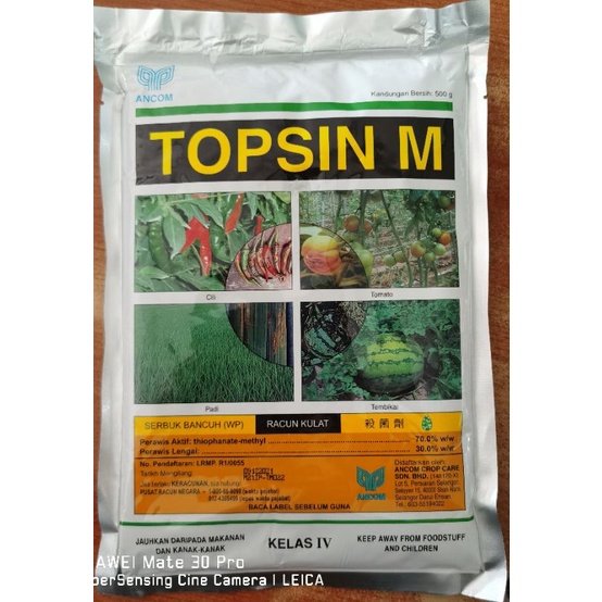 Topsin M | Ancom | Thiophanate Methyl 70% | Racun Kulat | Fungicide ...