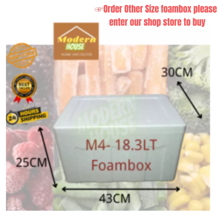 Modernhouse ] Foam Box Polystrene Box Polyfoam Courier Ice box kotak ...