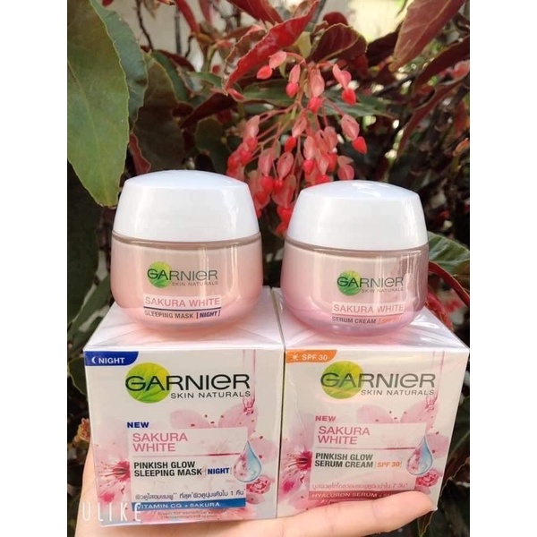 Slingshotm Ganier Night Cream Thailand (Pick Store Item) | Shopee Malaysia