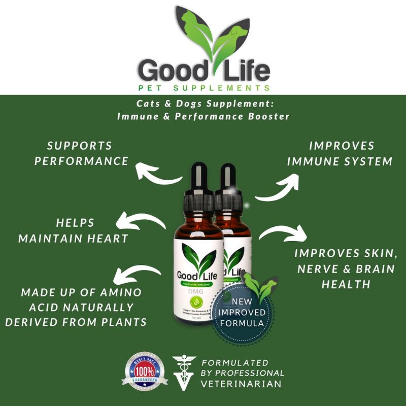 GoodLife DMG Immune Booster for Cats & Dogs, Imunisasi Bagi Kucing ...