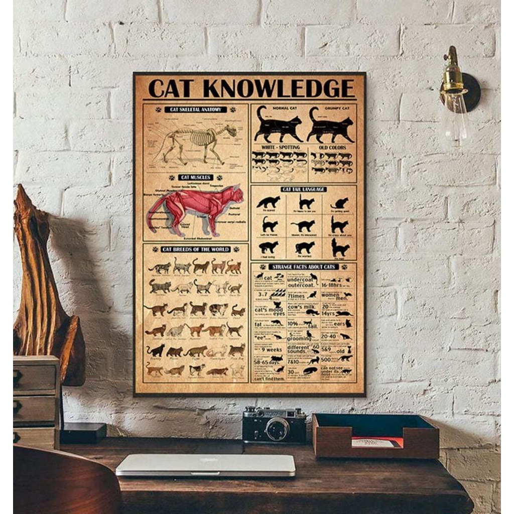 Aluminum canvas print Decor Cat Knowledge Cat Breeds Wall Art Kitten ...