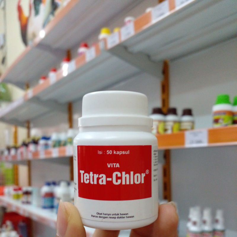 Vita TETRA-CHLOR 50 CAPSULES | Shopee Malaysia