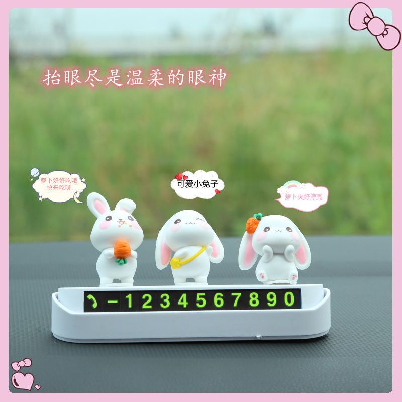 Cute Bunny Car Temporary Parking Number Plate Hidden Car Parking Car ...