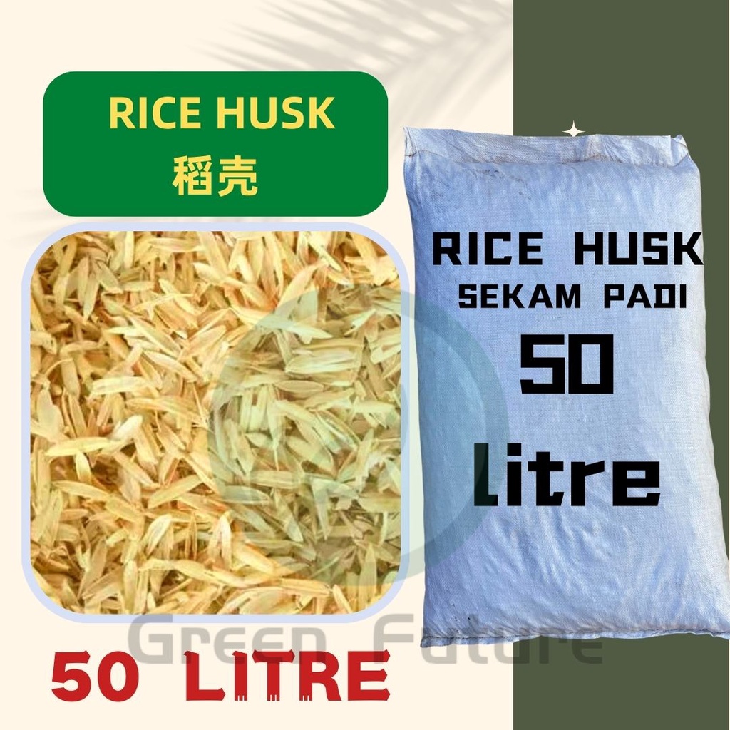 BORONG WHOLESALE RICE HUSK 稻壳 SEKAM PADI MENTAH / RICE HUSK BERKUALITI ...