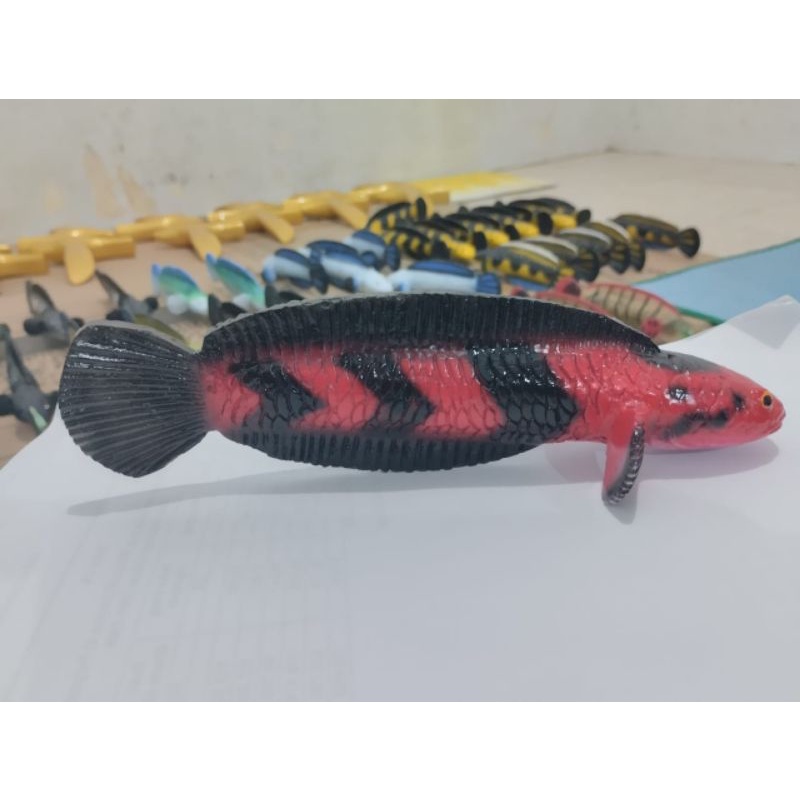REPLIKA Channa Fish Statue/Channa RED MARU Fish Replica | Shopee Malaysia