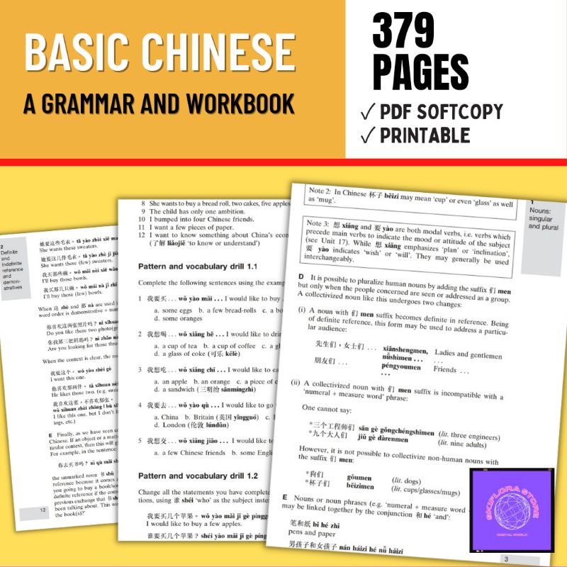 [SS117] Basic Chinese Grammar Workbook with Answer | 379 Pages Softcopy ...