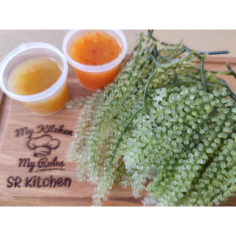 LATOK FRESH /LATOK TERNAK 💯 NO. 1 di Malaysia🔥🔥 | Shopee Malaysia