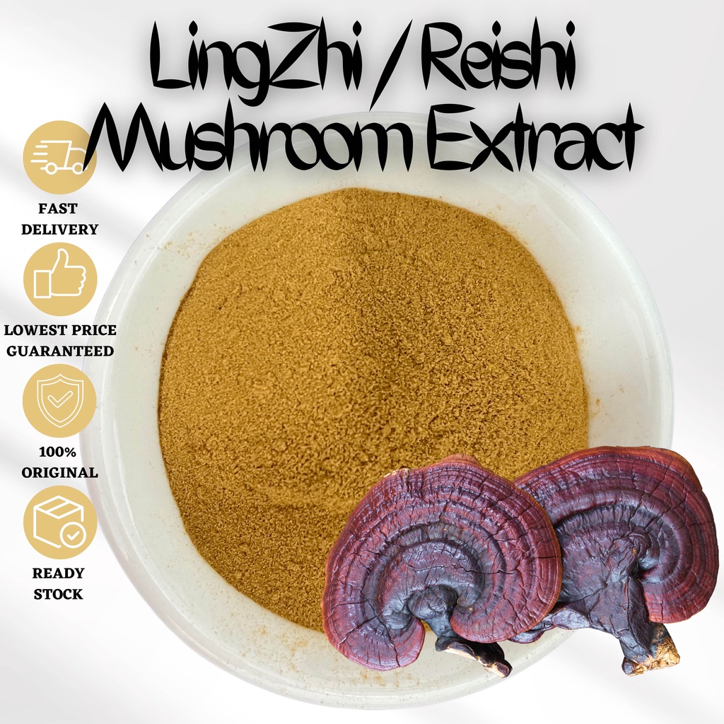 Ling Zhi Extract Powder | Reishi Mushroom Extract Powder | 灵芝粉 ...