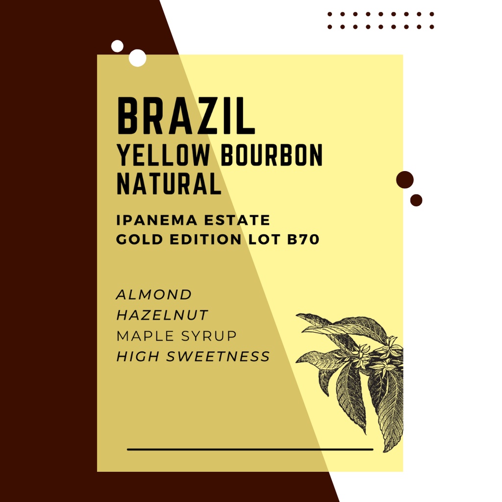 250g BRAZIL YELLOW BOURBON NATURAL / IPANEMA GOLD EDITION LOT B70 ...