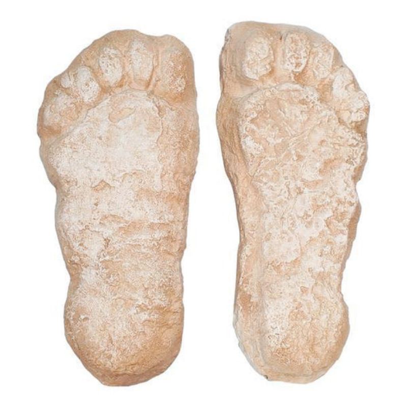 Feet / Armpit pics 🐺🐺🐺 alpha feet | Shopee Malaysia