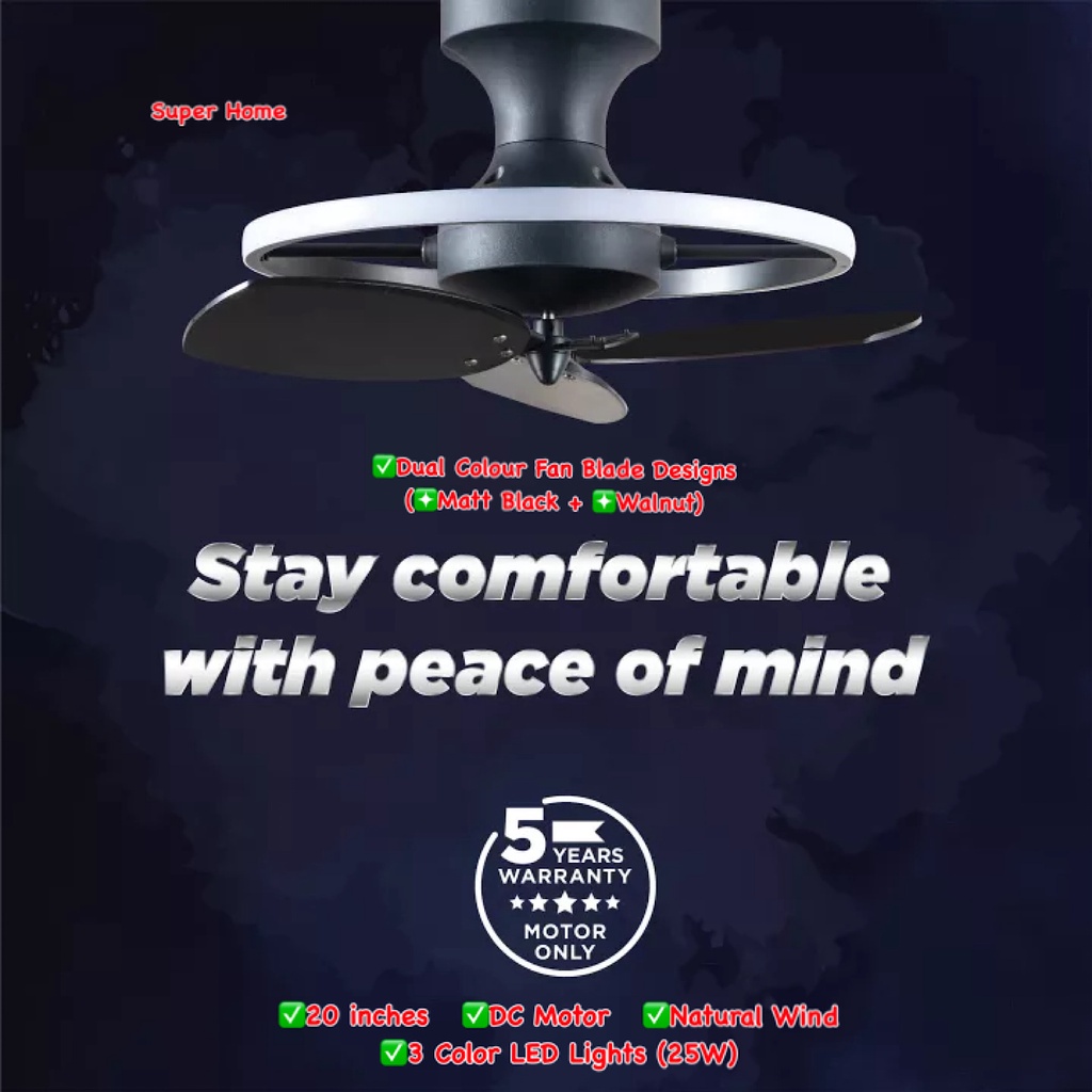 Deka Ceiling Fan CONCEPT Micro (Dual Fan Blade Color Walnut / Matt ...