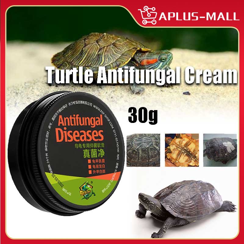 Turtle Antifungal Cream Tortoise White Spot Remover Shell Fungus Remove ...