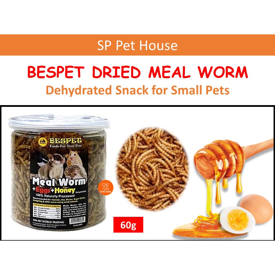 BESPET Meal Worm (+Egg+Honey) Dehydrated 60g / Ulat Roti Hamster Sugar ...