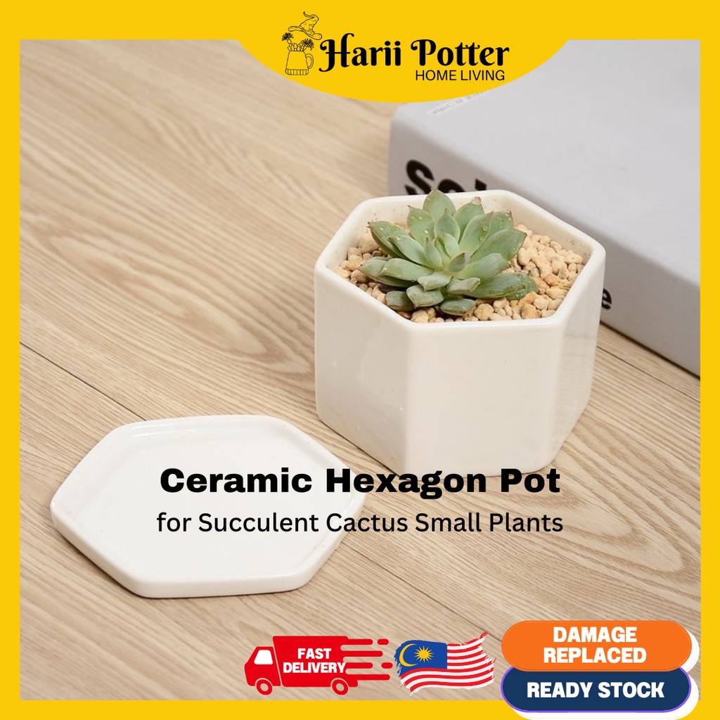 Aesthetic Hexagon Ceramic Pot For Succulent Plant Small Flower Pot Pasu ...