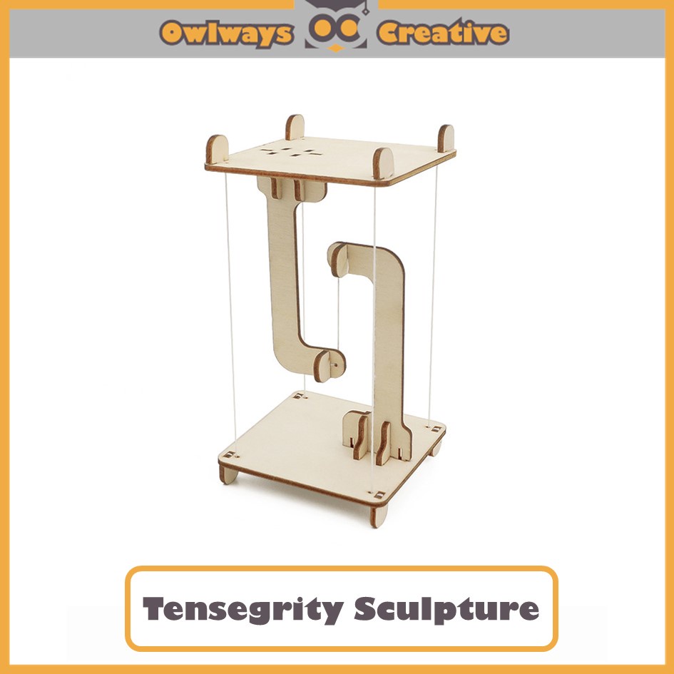 【1】Science STEM RBT DIY Robotics Set Assemble Wooden Kit Experiment ...