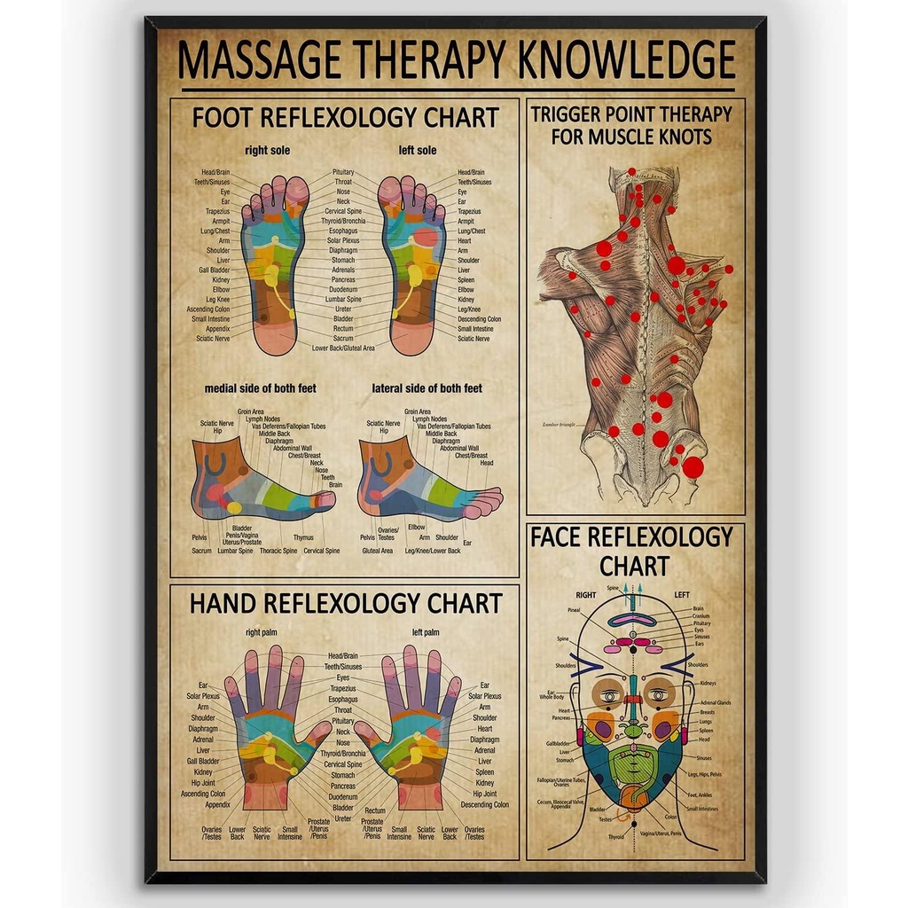 Reflexology Chart Massage Therapy Knowledge Poster Foot Trigger Point Therapy Wall Art Gifts For ...