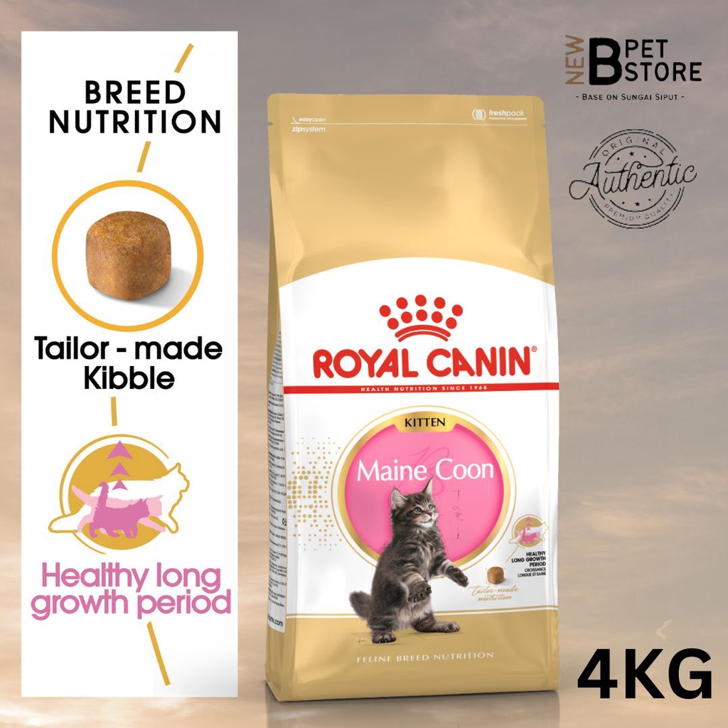 RC ROYAL CANIN BREED FELINE CAT MAINE COON KITTEN 4KG NEWB PET STORE ...