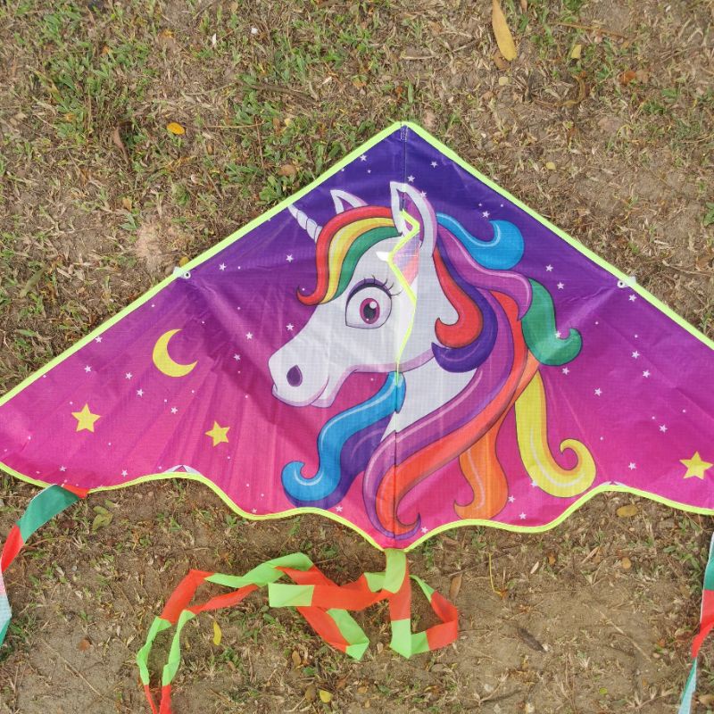 Cartoon Kite -Easy To Fly 1.2m Cartoon Kite with 30m Line(Dinausour ...