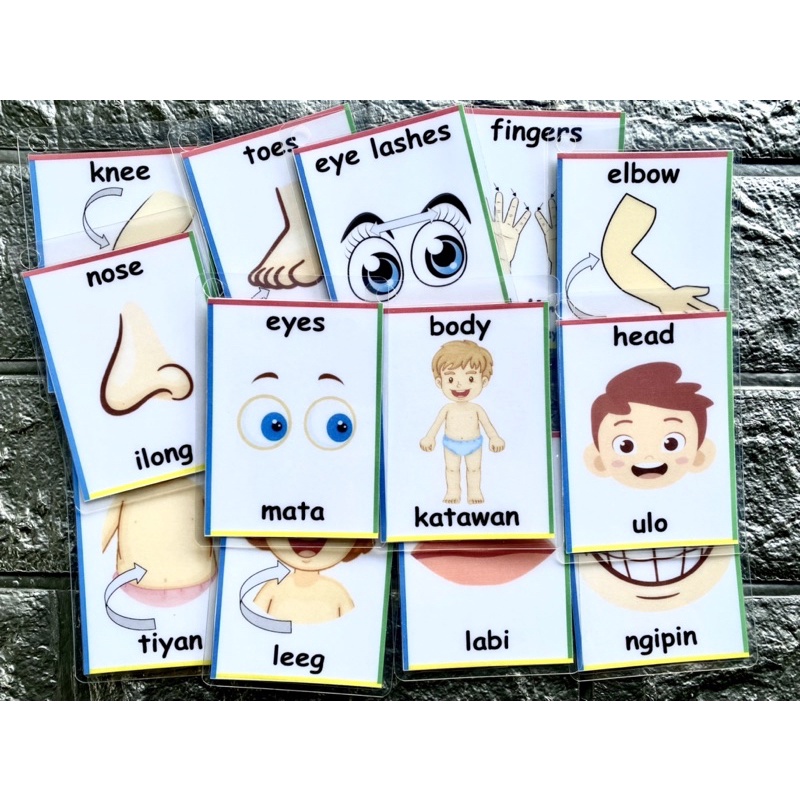 Body Parts Flashcard-Laminated | Shopee Malaysia