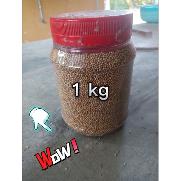 🔥 mroh gilo sekoi 1kg🔥 | Shopee Malaysia