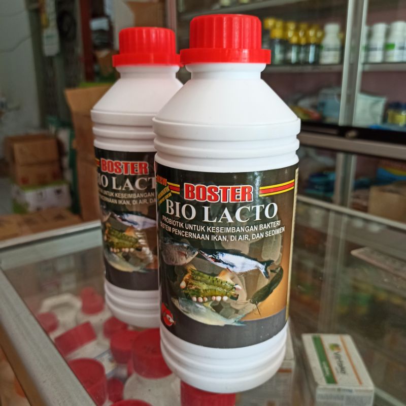 Bio lacto booster fish and shrimp probiotics for the fish and shrimp ...