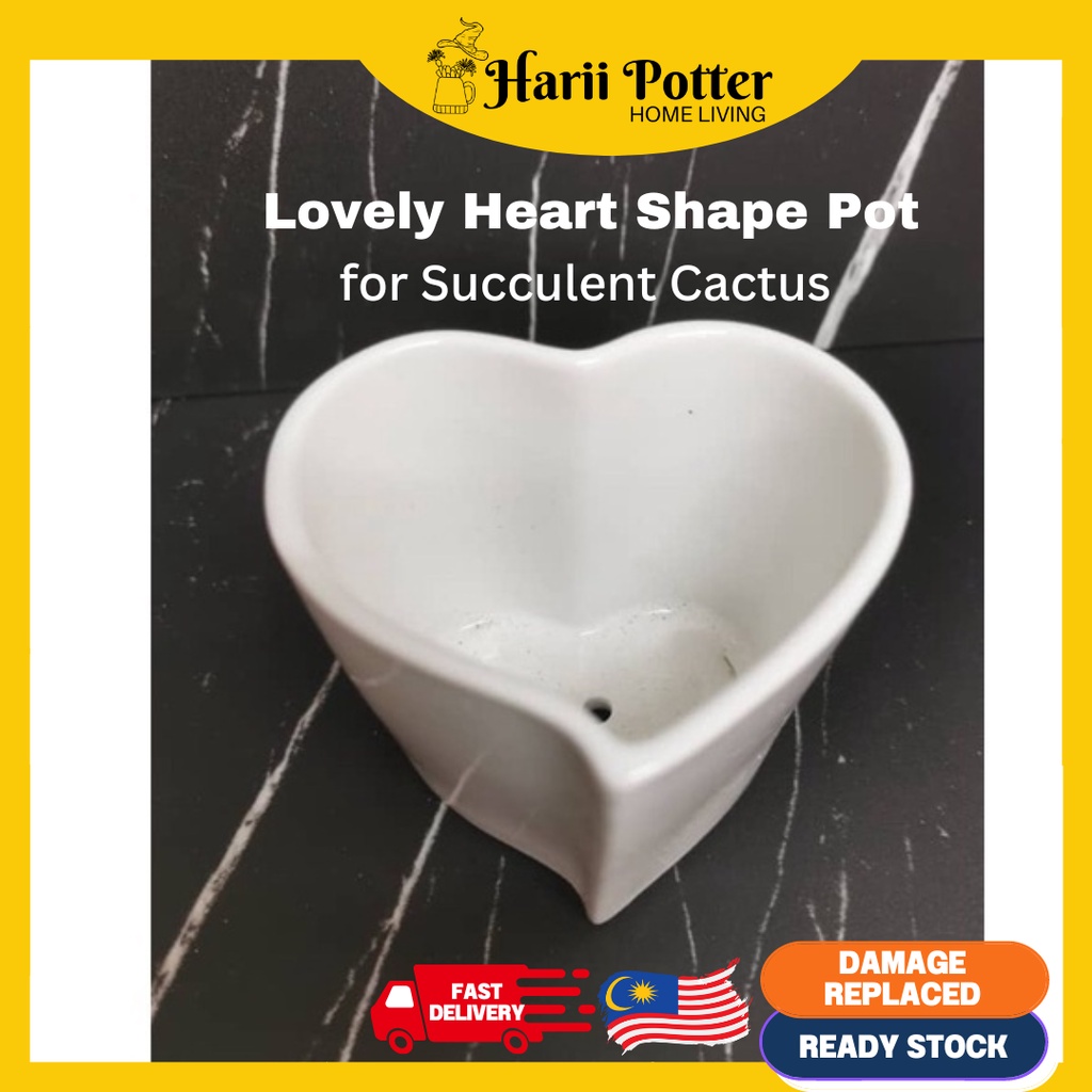 HARII POTTER Ceramic Lovely Heart Shape Pot for Succulent Cactus Small ...