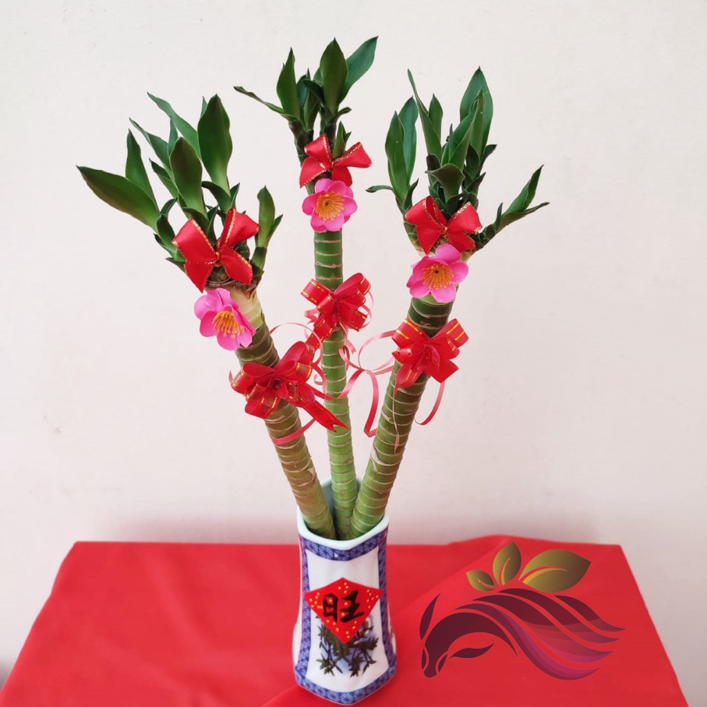 Dragon Head 40cm With CNY Deco by LS Group | Shopee Malaysia