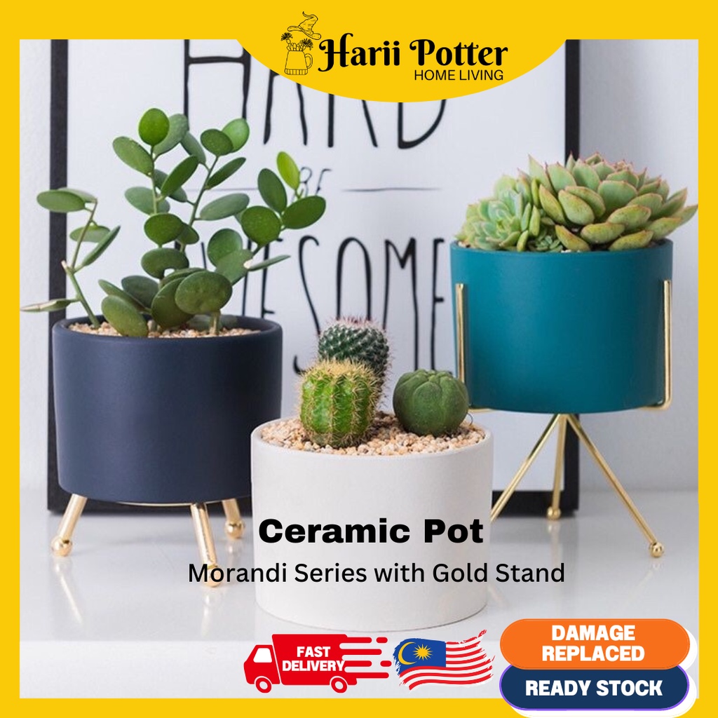 HARII POTTER Ceramic aCeramic Pot For Cactus Plant Pot Outdoor Small ...