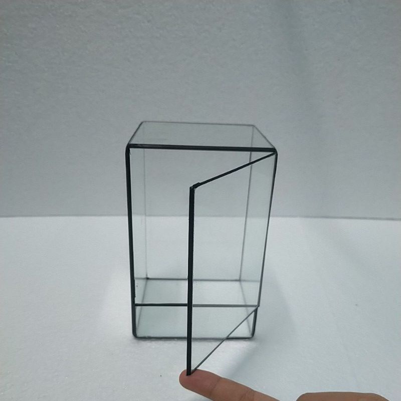 Cuboid terrarium glass | Shopee Malaysia