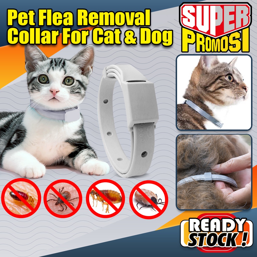 [Kolar Ubat Kutu Kucing Anti Flea Tick Kutu Mite] Pet Cat Dog ...