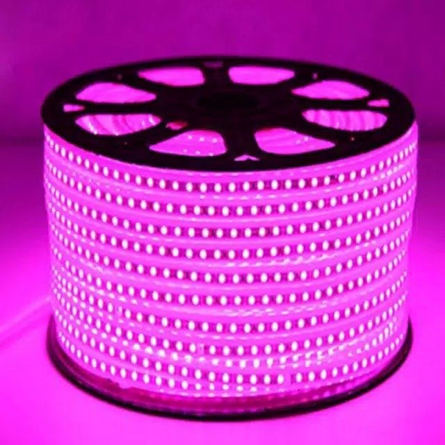 5050 Hose Led Strip Light 220V 100m Meter/Permeter / 5050 Meter Hose ...