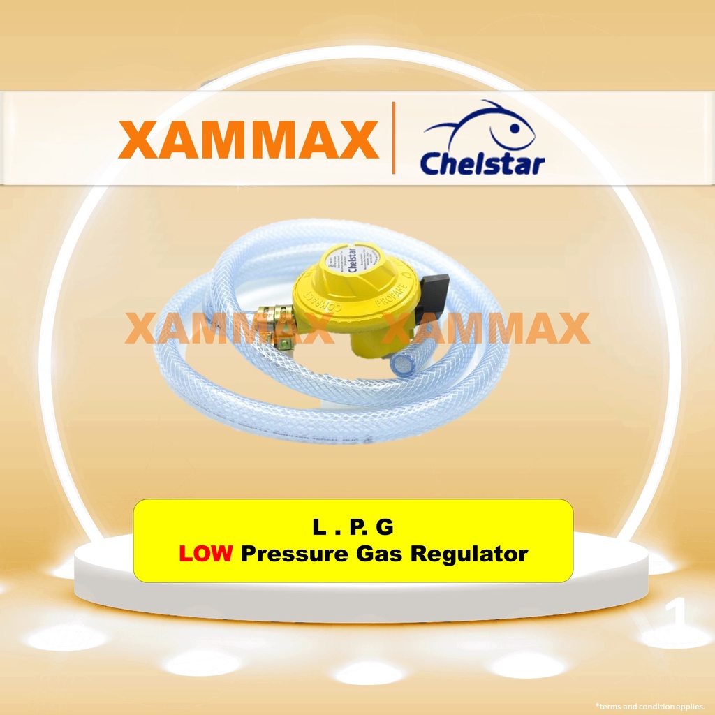 Chelstar - CR-319E - L.P.G Low Pressure Gas Regulator Set / Gas ...