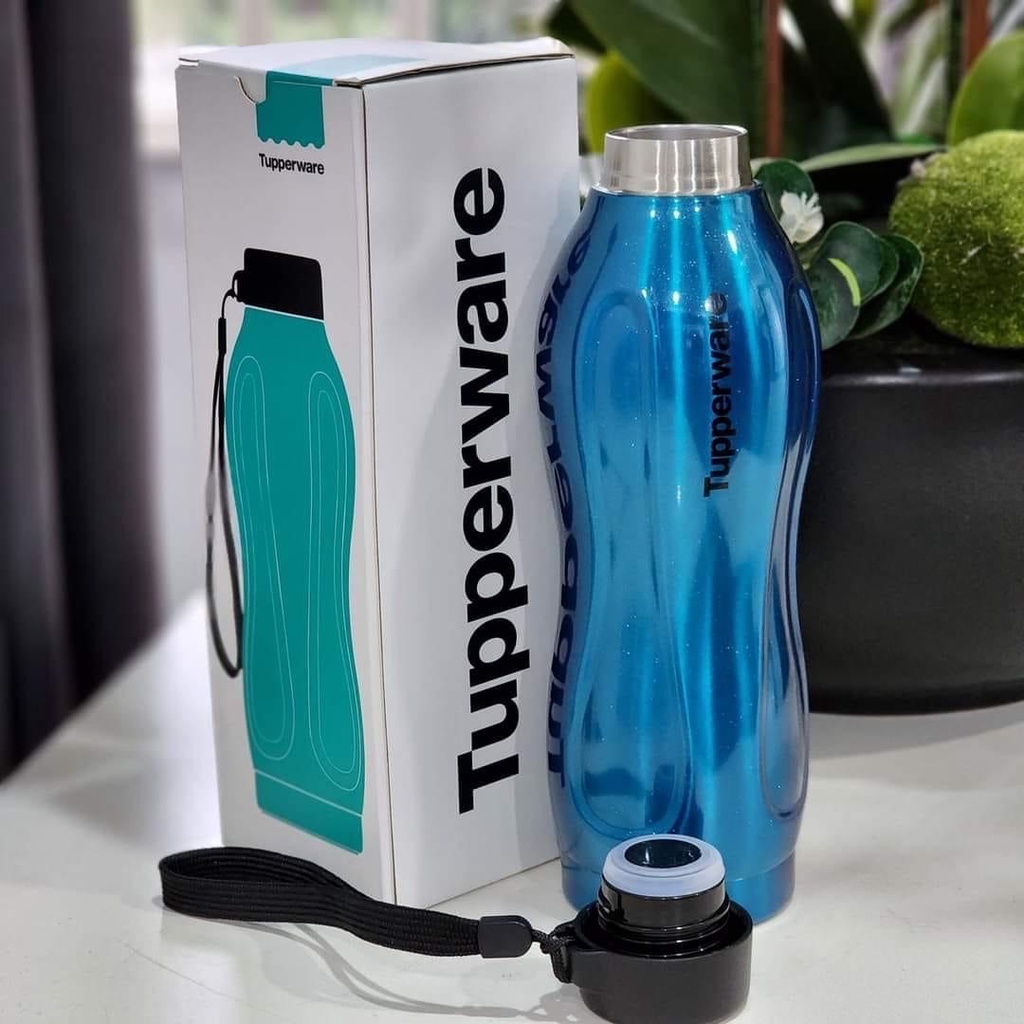 Tupperware Insulated Eco Bottle (1) 550ml/ Thermos Bottle/ Stainless ...