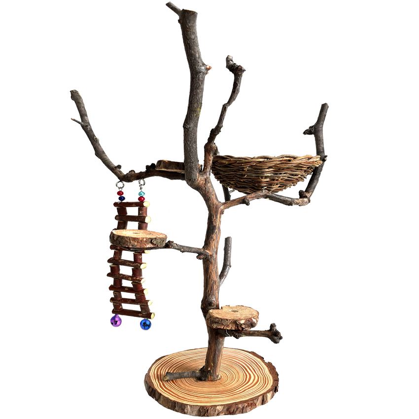 Bird Stand Rod Parrot Stand Stand Branch Training Bird Stand Stand ...