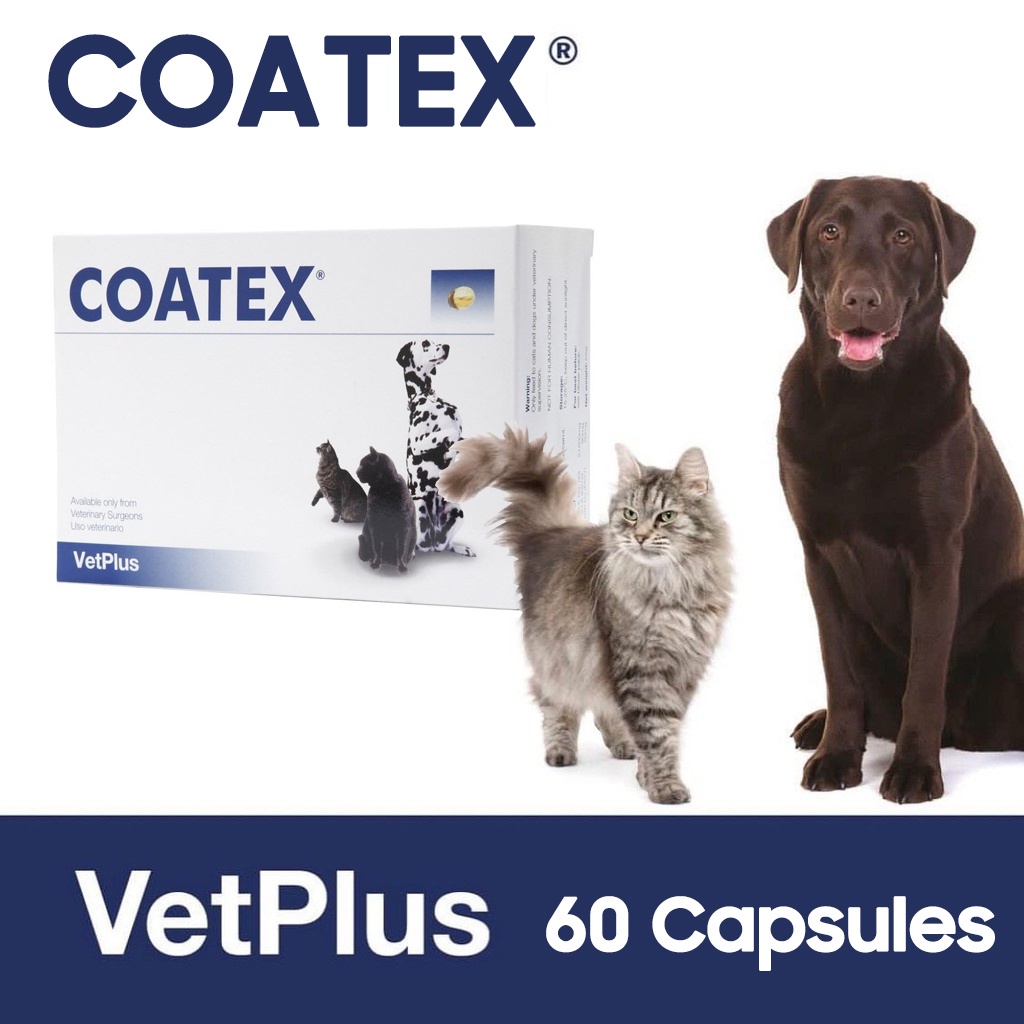 VetPlus Coatex Softgels 1box for dogs and cats | Shopee Malaysia