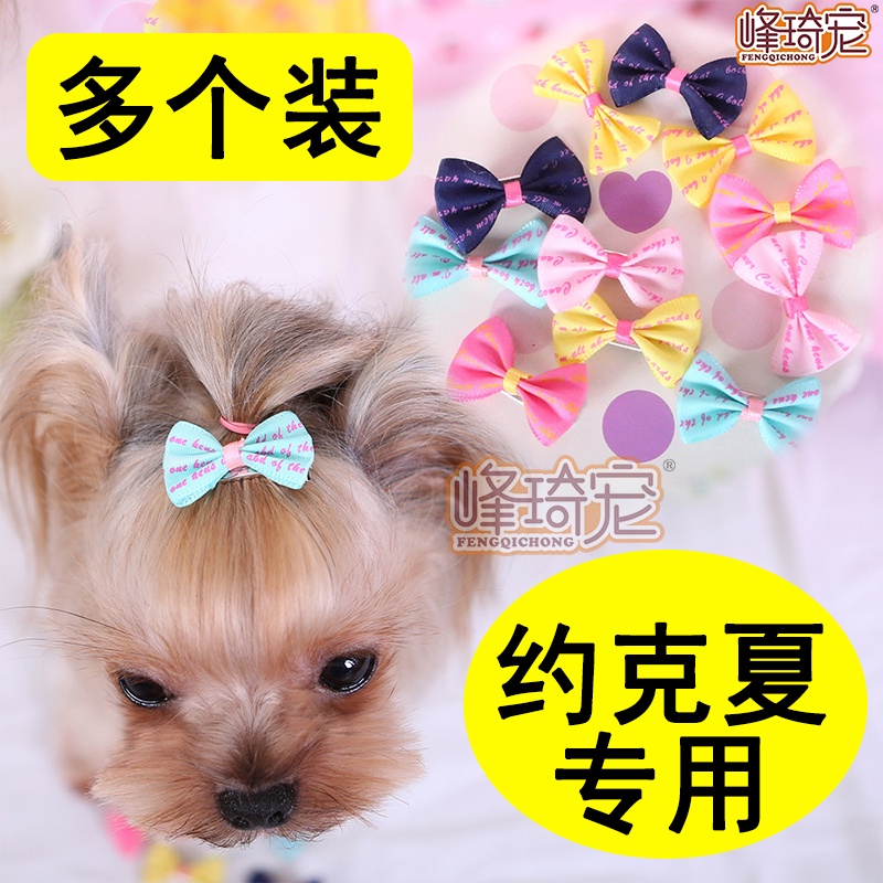 Klip rambut patah khas Yorkshire klip kecil mini bb klip tunduk ...