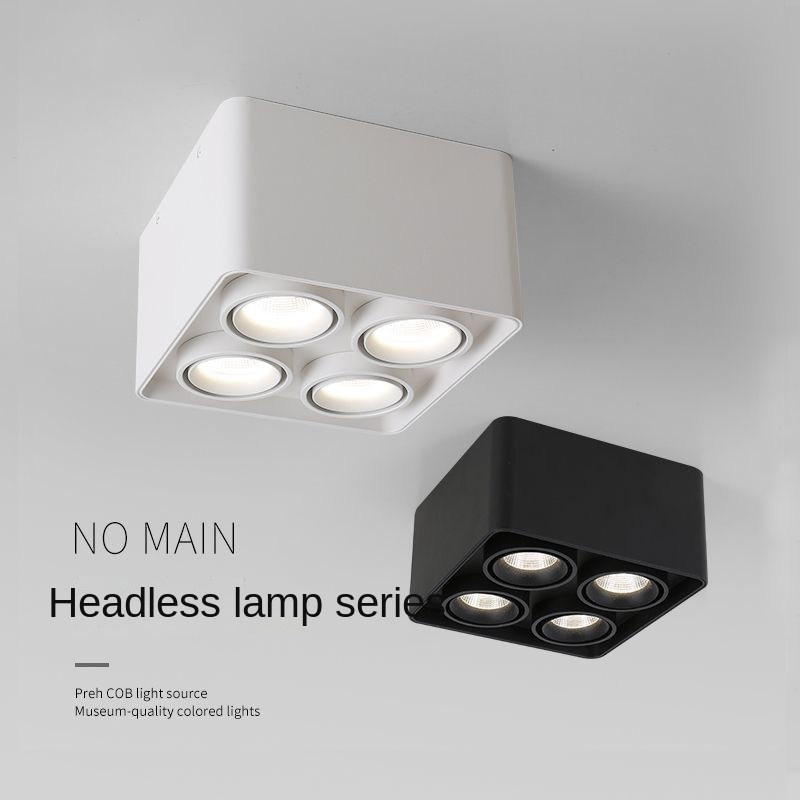 Open-Mounted Double-Headed Spotlight Led Ceiling Lamp Ceiling Bean Gall ...