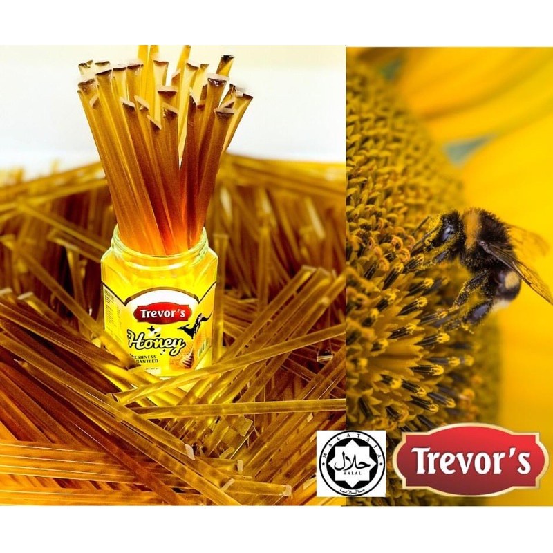 Trevor‘s Honey Stick/Dates Sticks (1pcs) Dates Honey Sticks Madu 蜜糖 ...