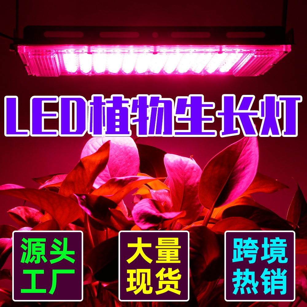 New led Plant Flood Light Full Spectrum Plant Fill Light Indoor 100W ...
