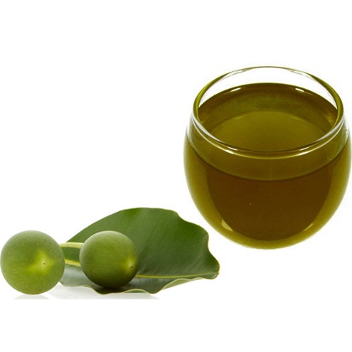 (50 / 100ml) Vietnam Pure U Raw Oil (Tamanu Oil) 50 | PGMall