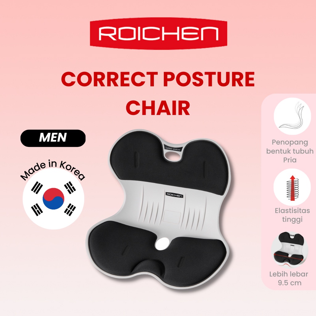 Roichen Correct Posture Chair Man (Large) - Original Korean Waist ...