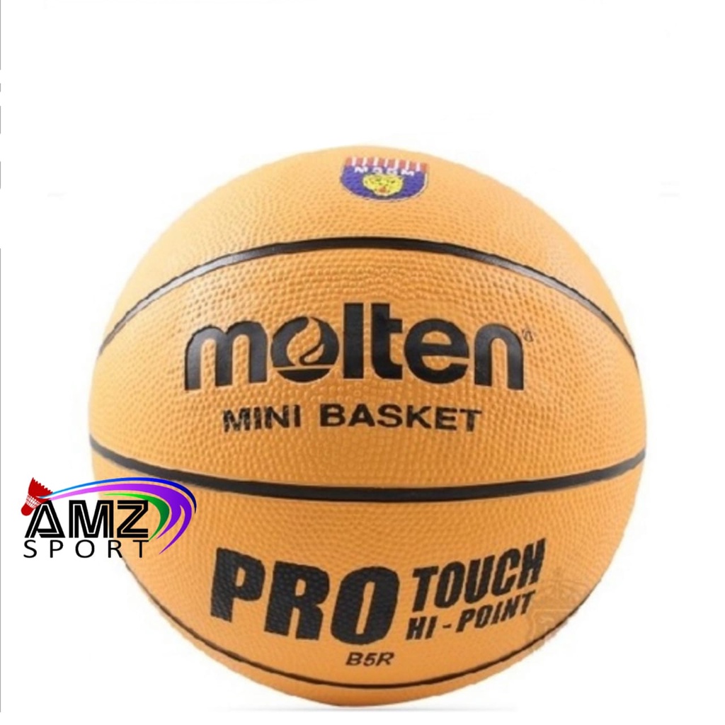 MOLTEN B5R PRO TOUCH HI- POINT MINI BASKETBALL SIZE 5 (ORIGINAL ...