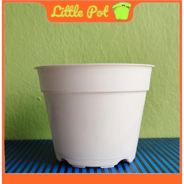 10.5CM Small Pot Mini Flower Pot Pasu Bunga Pasu Plastik Putih Kecil ...